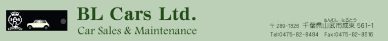 BL Cars Ltd. – Car Sales & Maintenance